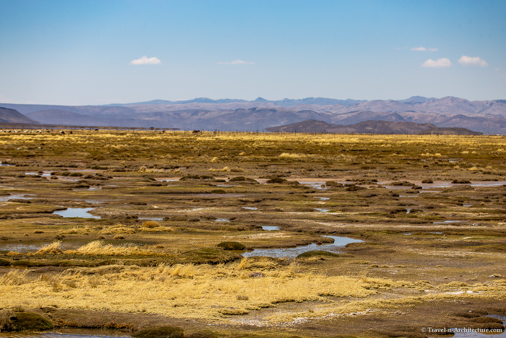 Peru Gallery 06 - Pampa Canahuas - Patapampa Pass - Travel-n ...